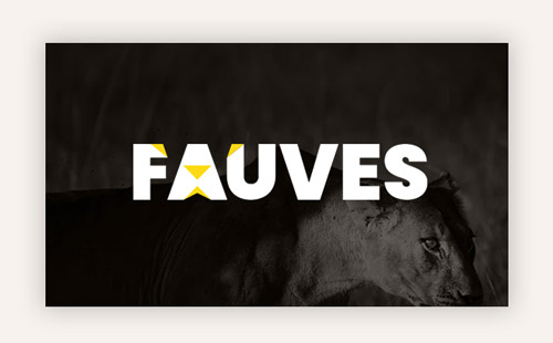 Fauves cabinet d'études - Agence marketing digitale et stratégie